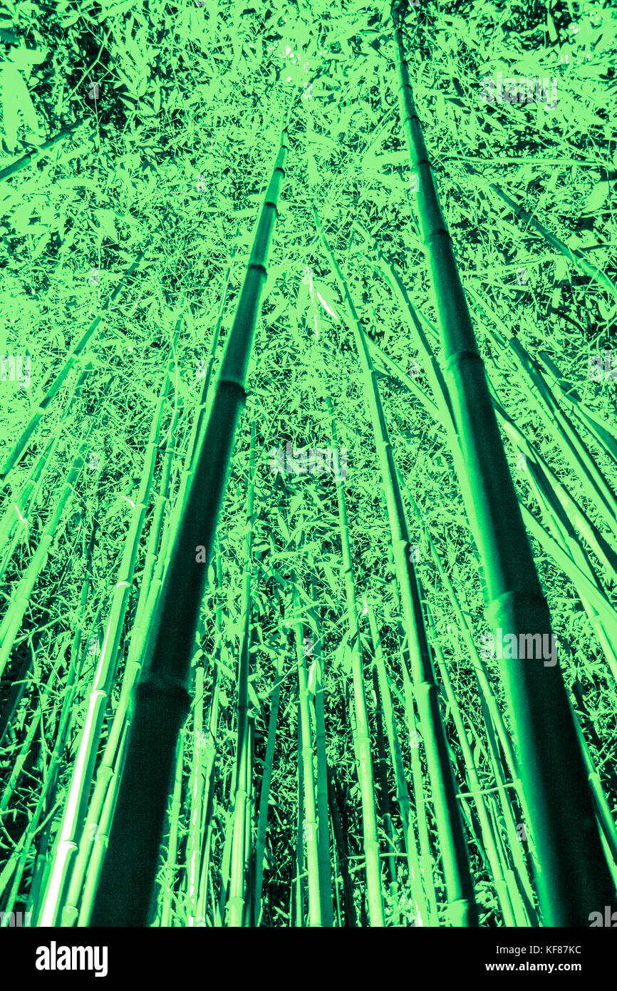 surreal gaudy atmospheric background Stock Photo - Alamy