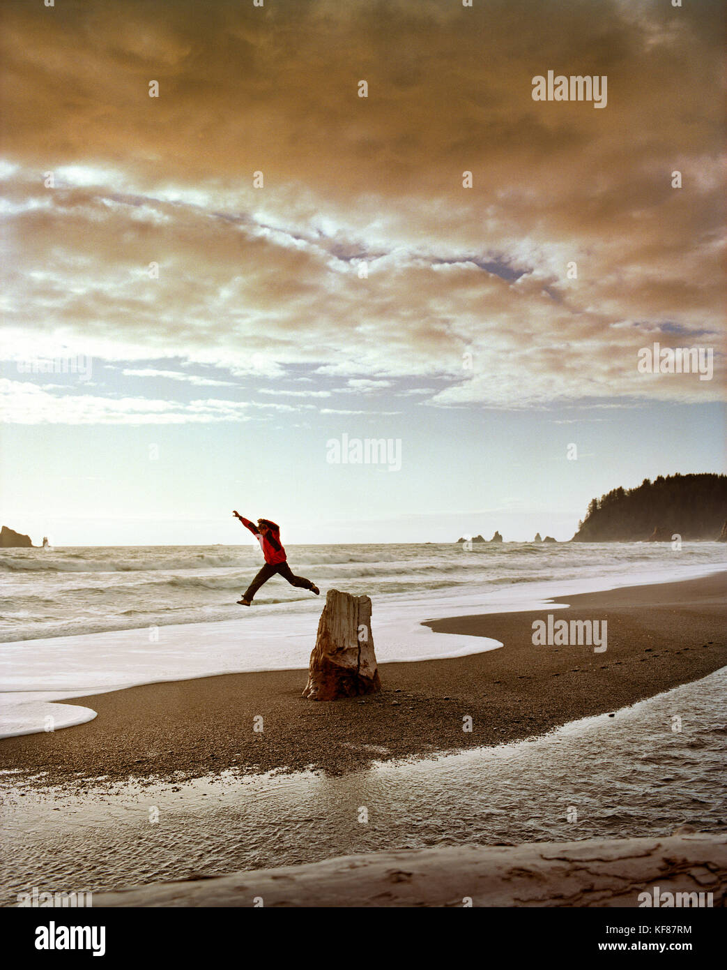 USA, Washington State, man jumping off of a tree stump at Rialto Beach ...