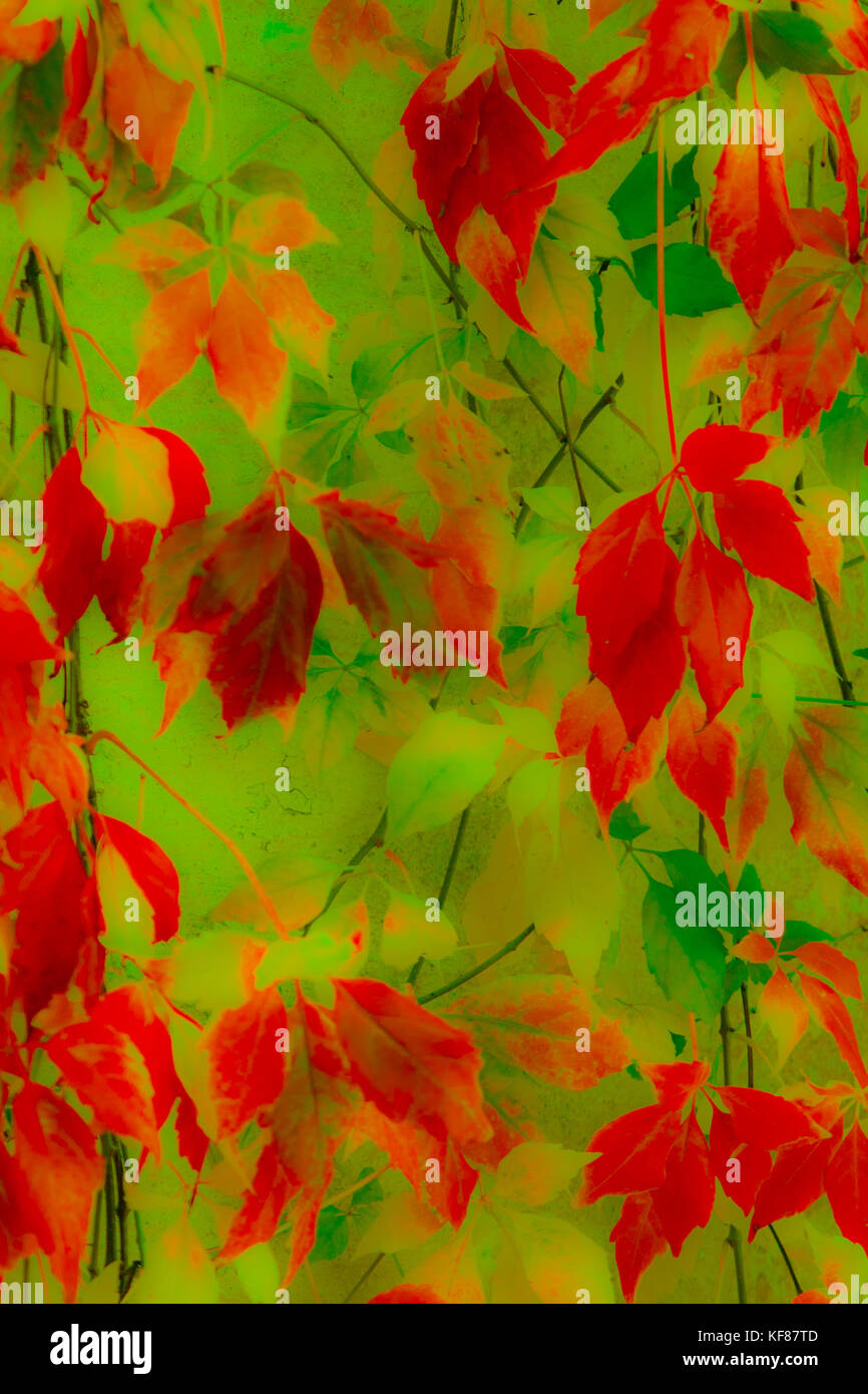 surreal gaudy atmospheric background Stock Photo - Alamy