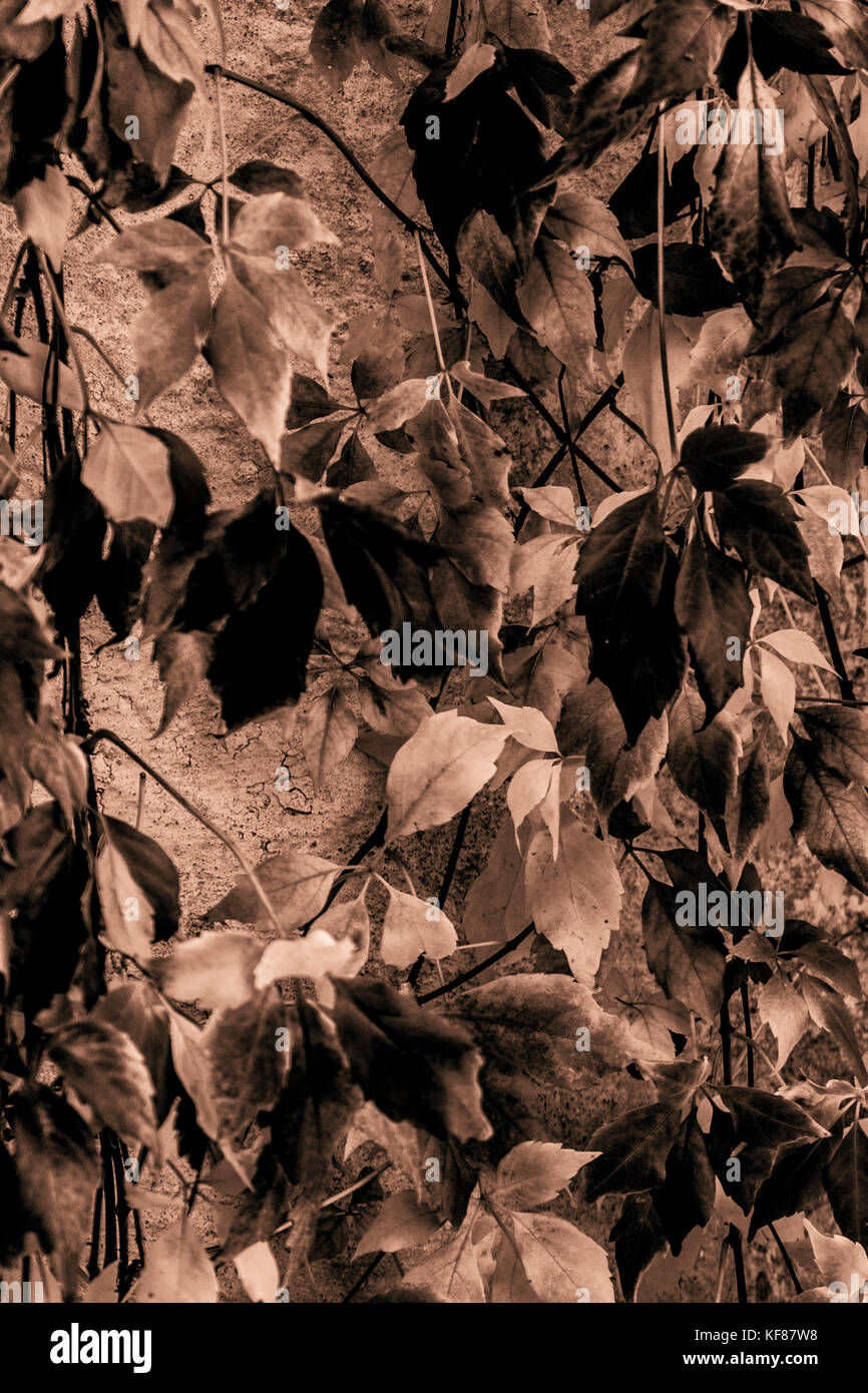 surreal gaudy atmospheric background Stock Photo - Alamy