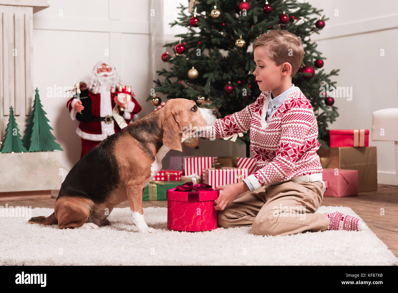 boy presenting christmas gift to dog Stock Photo - Alamy