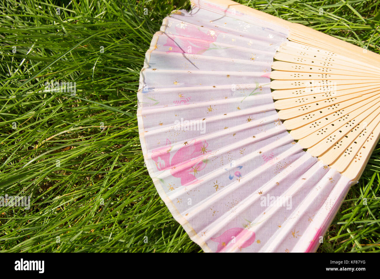 Opened a bamboo fan lying on the grass, copy space Stock Photo - Alamy