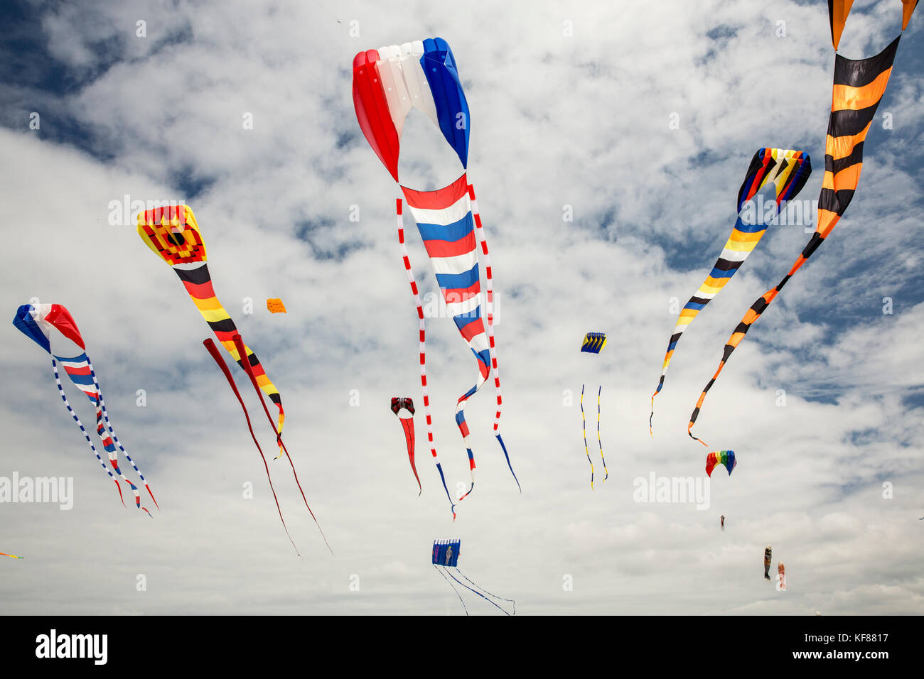 USA, Washington State, Long Beach Peninsula, large kites fly in the ...