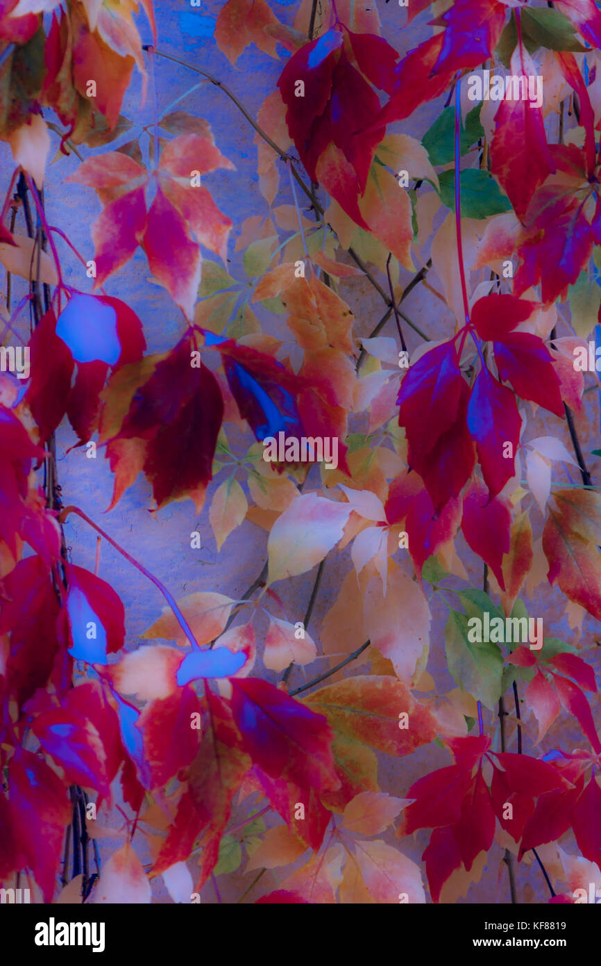 surreal gaudy atmospheric background Stock Photo - Alamy