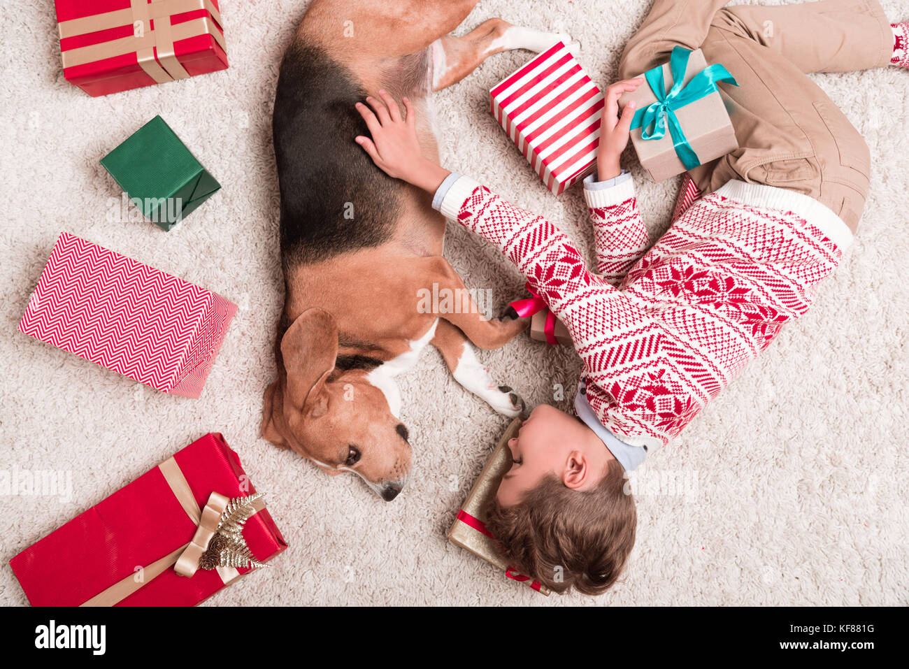 boy with beagle dog and christmas gifts Stock Photo - Alamy
