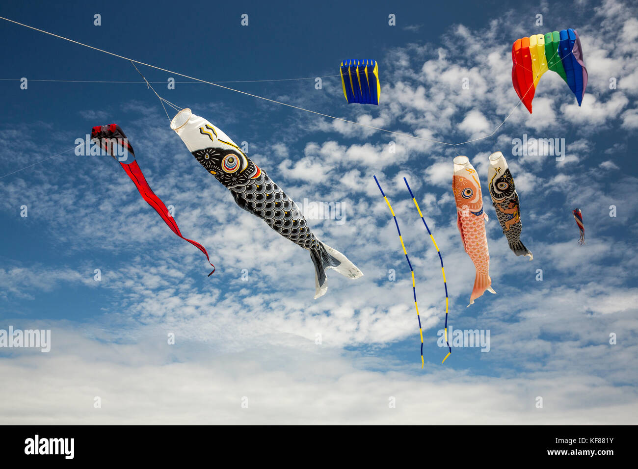 Large kites hi-res stock photography and images - Alamy