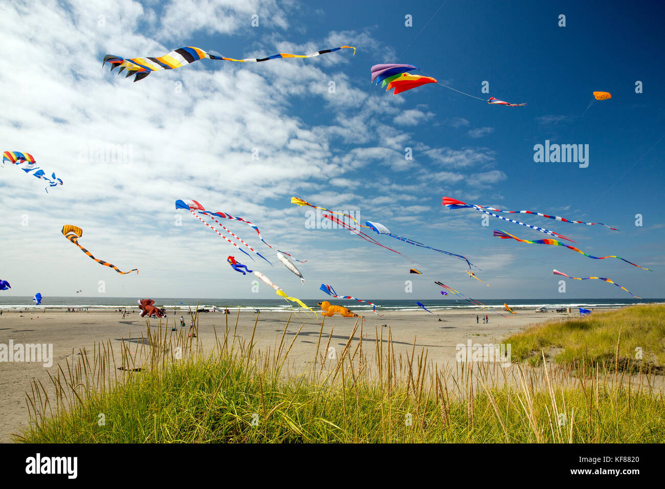 Large kites hi-res stock photography and images - Alamy