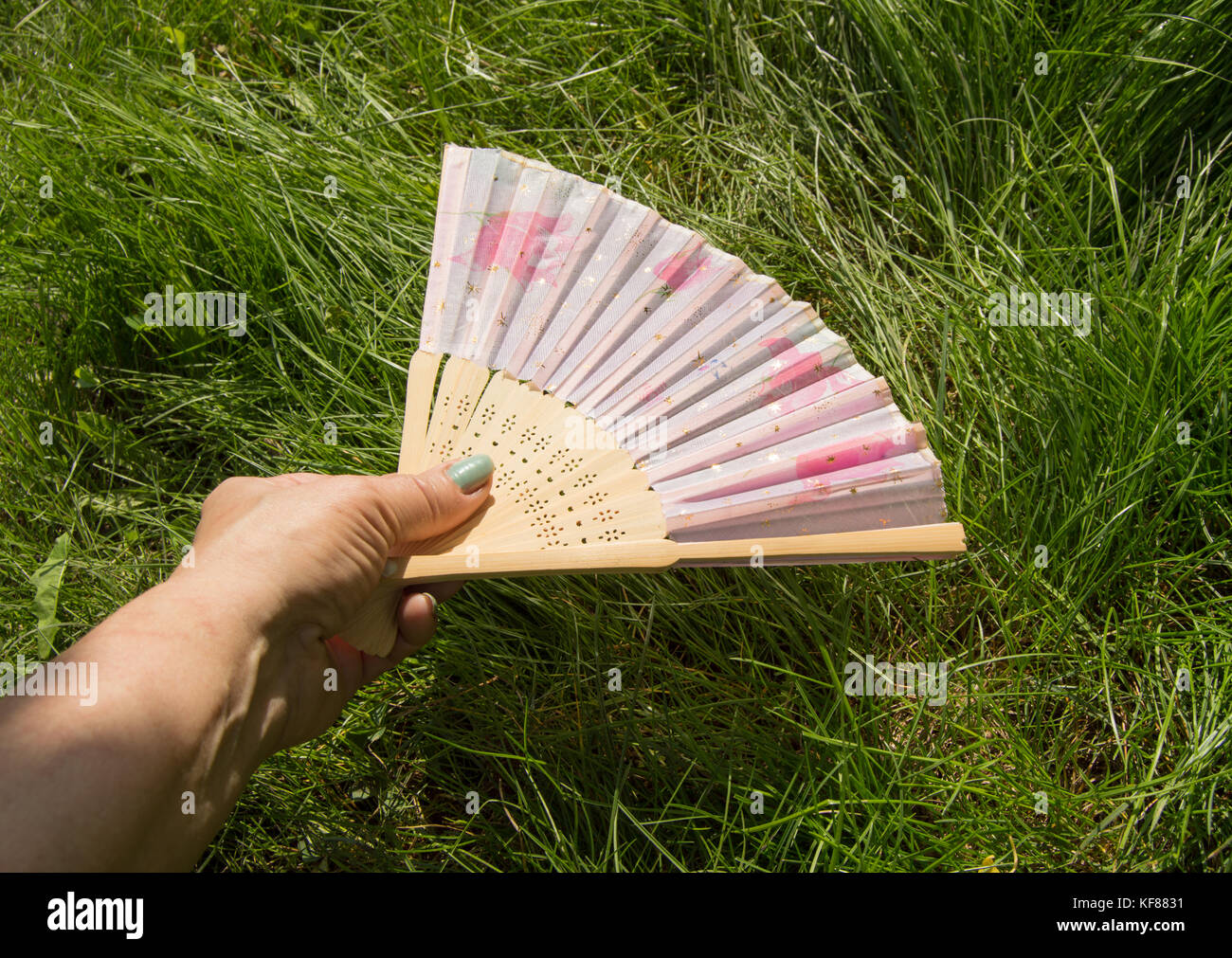 Female hand holding open a bamboo fan on a grass background, copy space ...