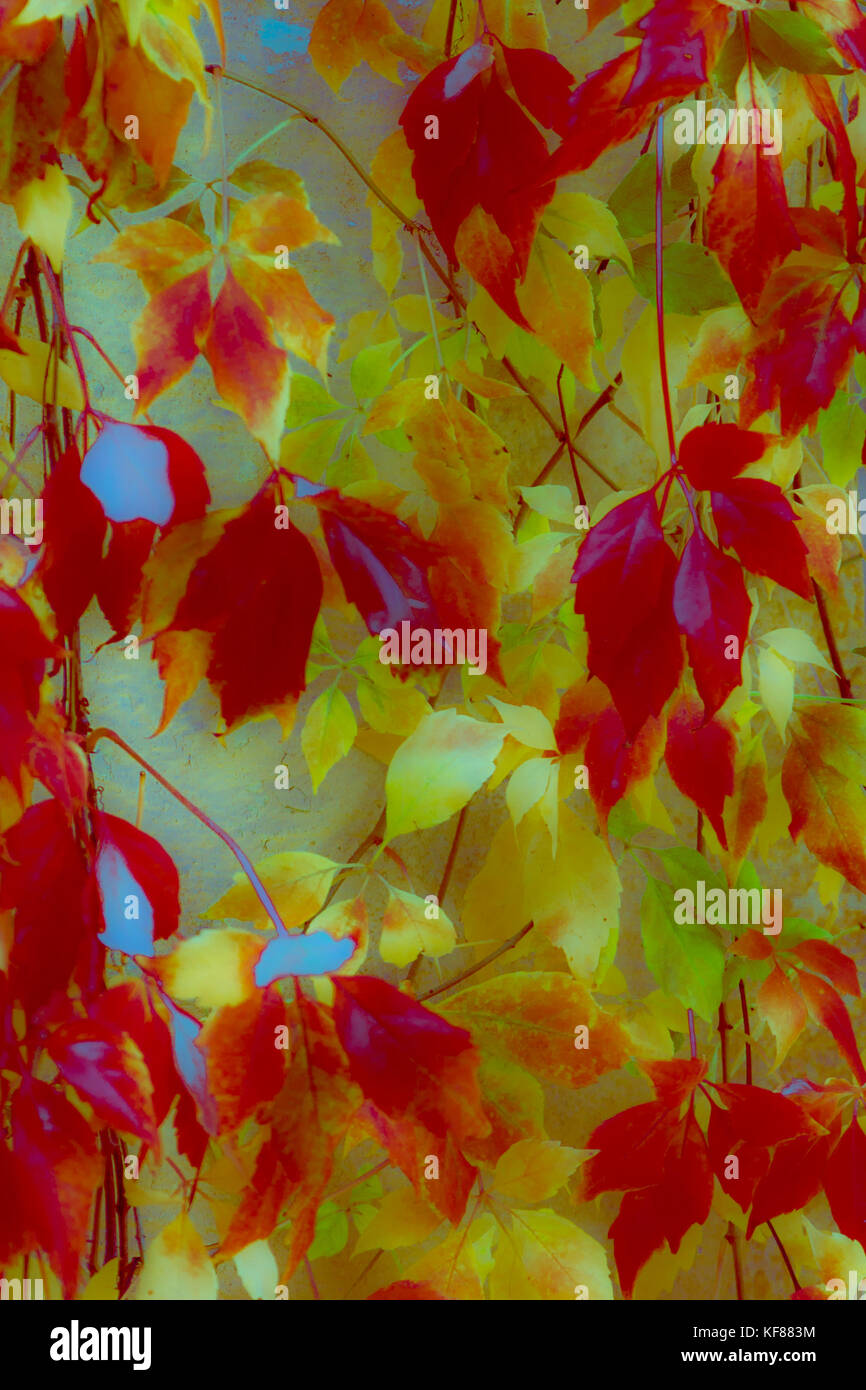 surreal gaudy atmospheric background Stock Photo - Alamy