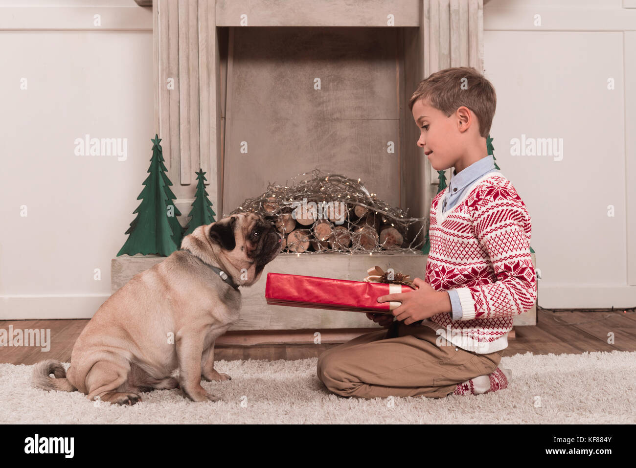 boy presenting gift to dog Stock Photo - Alamy