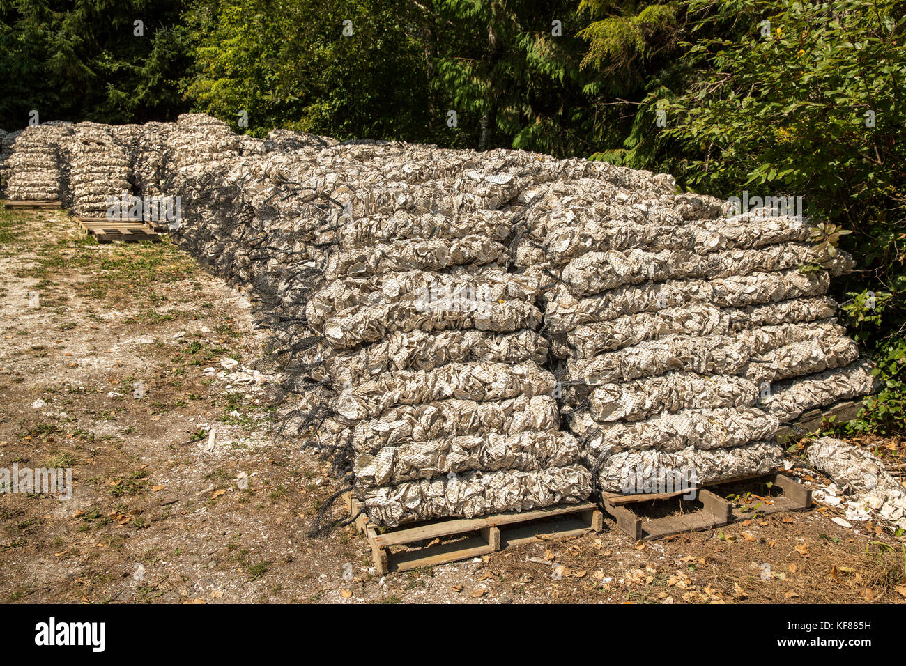 USA, Washington State, Long Beach Peninsula, International Kite ...