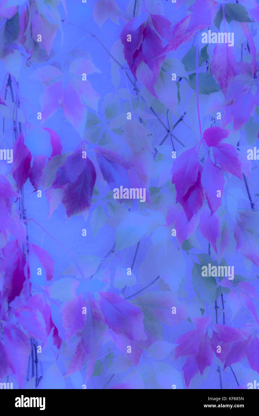 surreal gaudy atmospheric background Stock Photo - Alamy