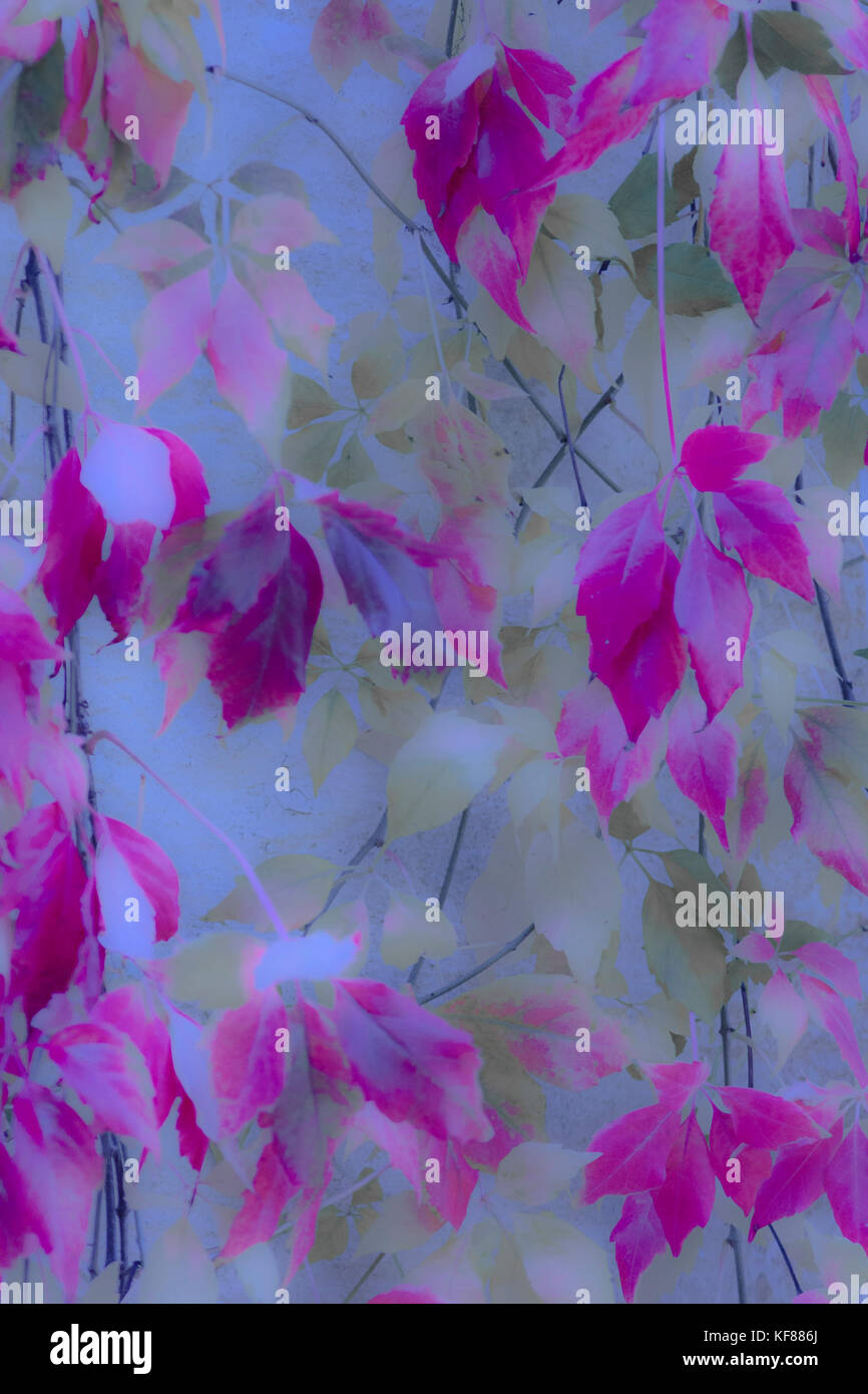 surreal gaudy atmospheric background Stock Photo - Alamy