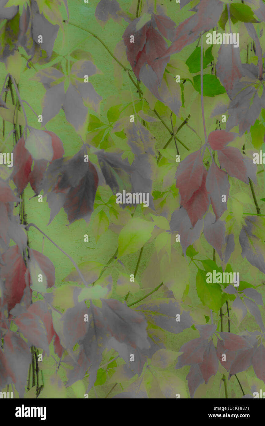 surreal gaudy atmospheric background Stock Photo - Alamy