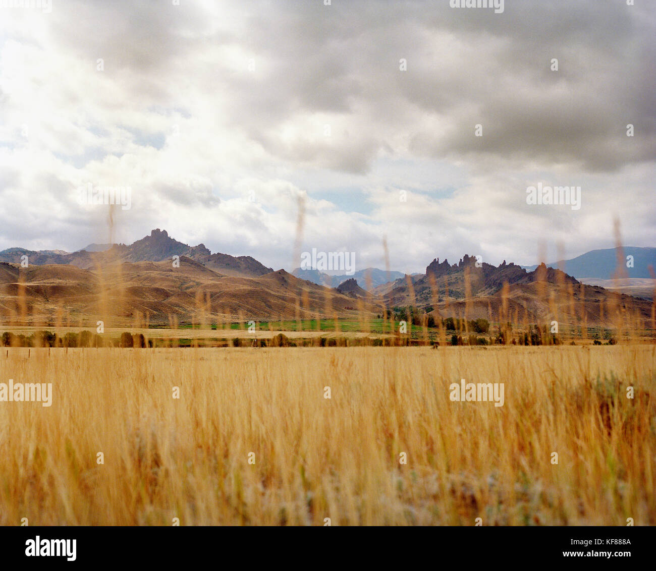 USA, Wyoming, field with mountain in the background, Chief Joseph ...