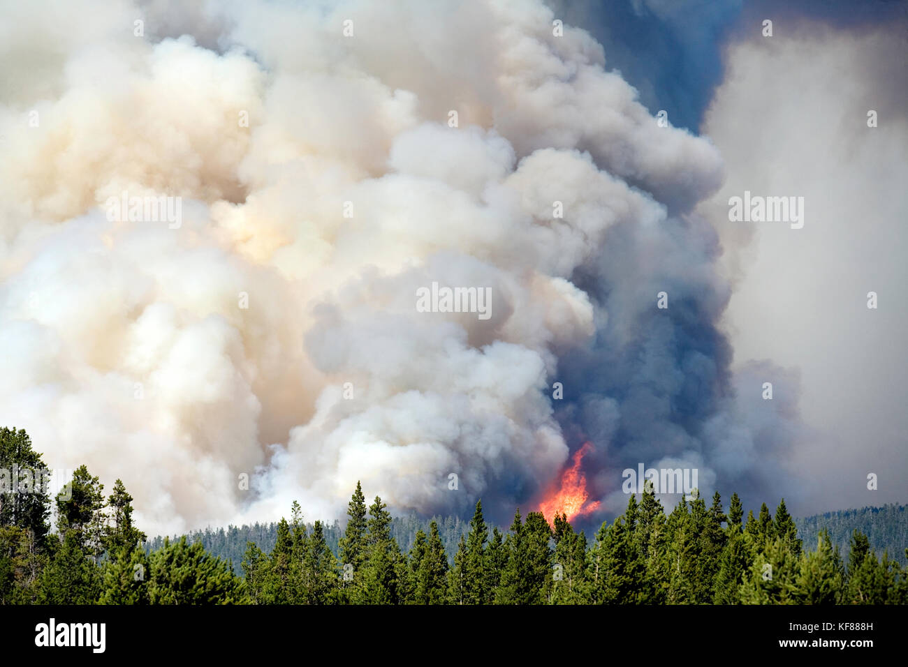 USA, Wyoming, forest fire, Fishing Bridge, Yellowstone National Park ...