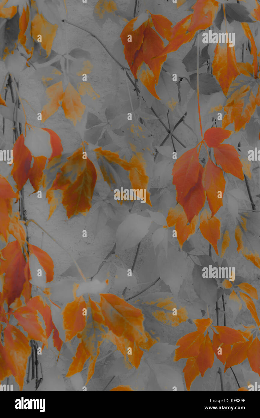 surreal gaudy atmospheric background Stock Photo - Alamy