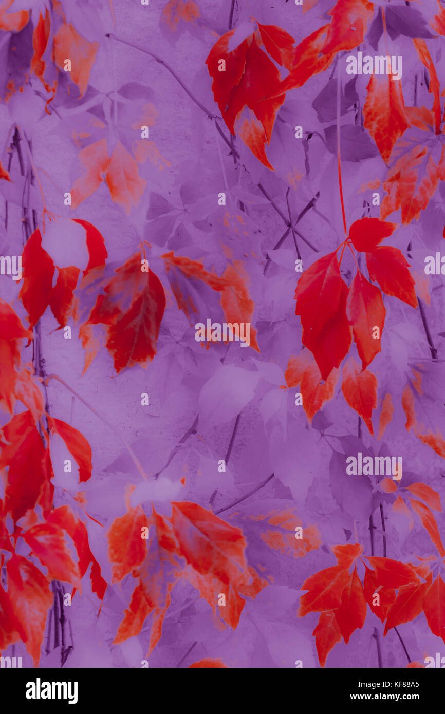 surreal gaudy atmospheric background Stock Photo - Alamy