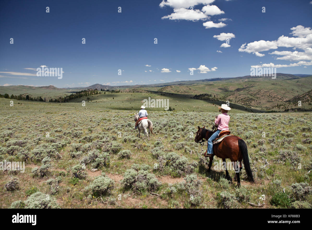 Usa wyoming cowboy cowgirl riding hi-res stock photography and images ...