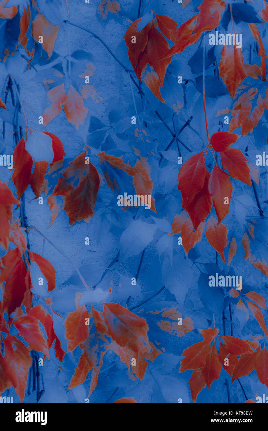 surreal gaudy atmospheric background Stock Photo - Alamy