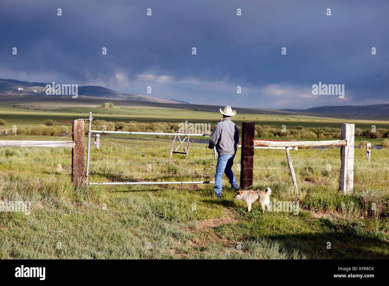USA, Wyoming, Encampment, a cowboy enters a pasture through a gate, Big ...