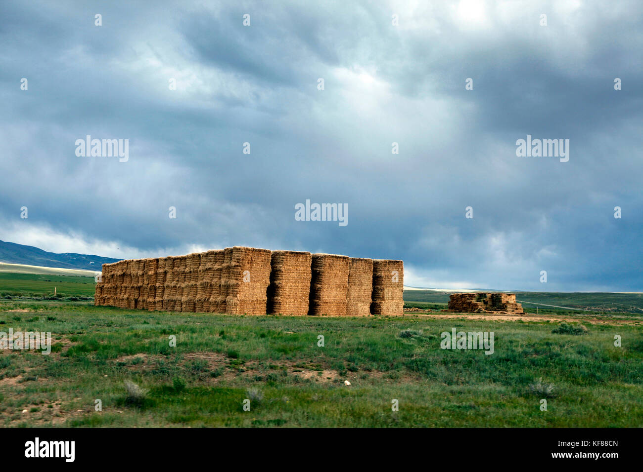 USA, Wyoming, Encampment, freshly stacked hay bales in an open meadow ...