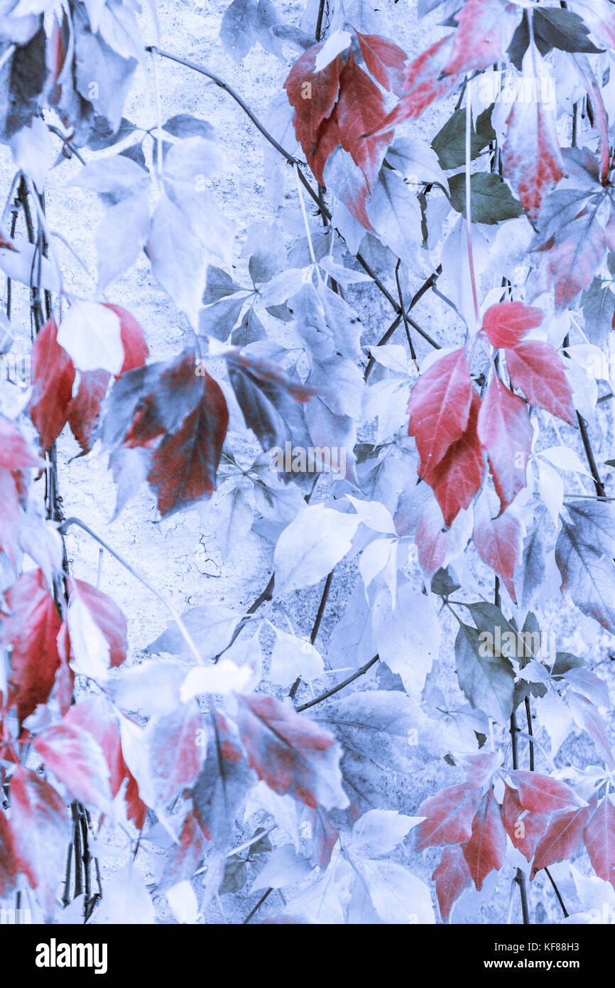 surreal gaudy atmospheric background Stock Photo - Alamy