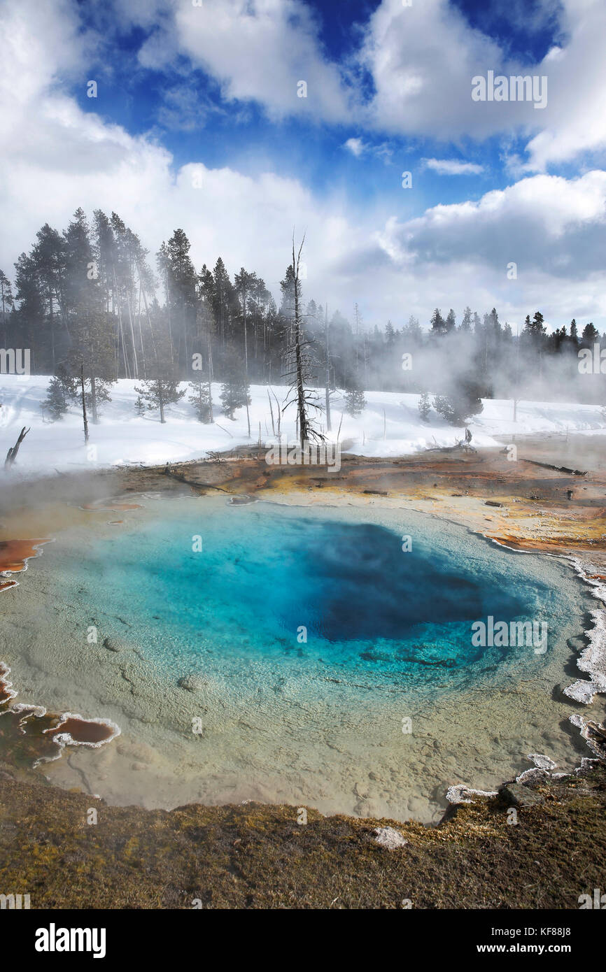 USA, Wyoming, Yellowstone National Park, Leather Pool on the Fountain ...