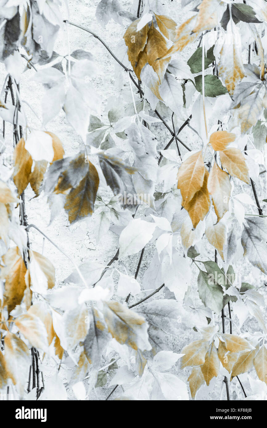 surreal gaudy atmospheric background Stock Photo - Alamy