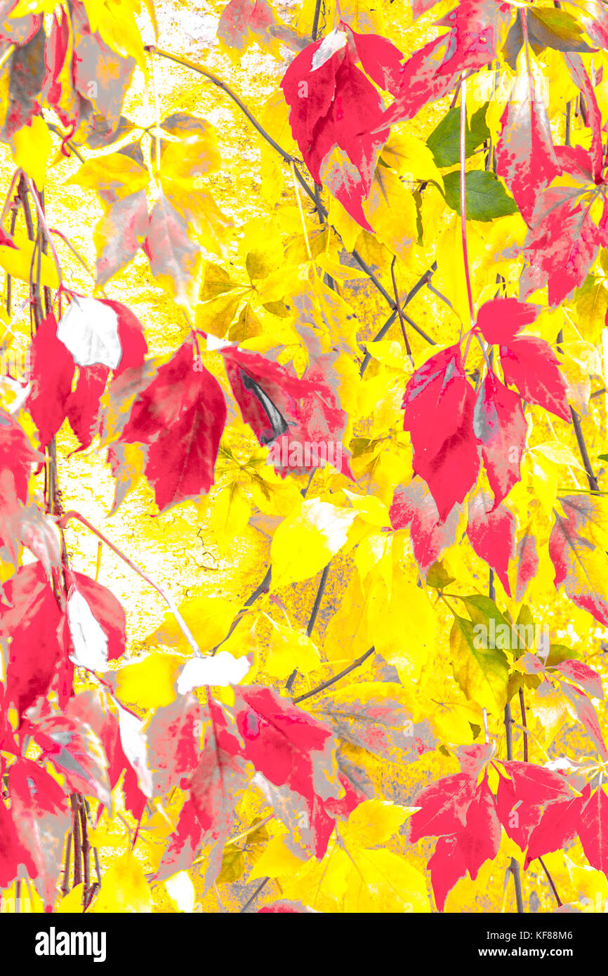 surreal gaudy atmospheric background Stock Photo - Alamy