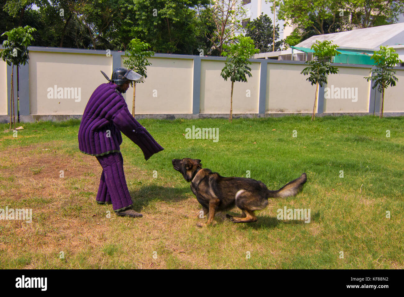 Rab dog squad hi-res stock photography and images - Alamy