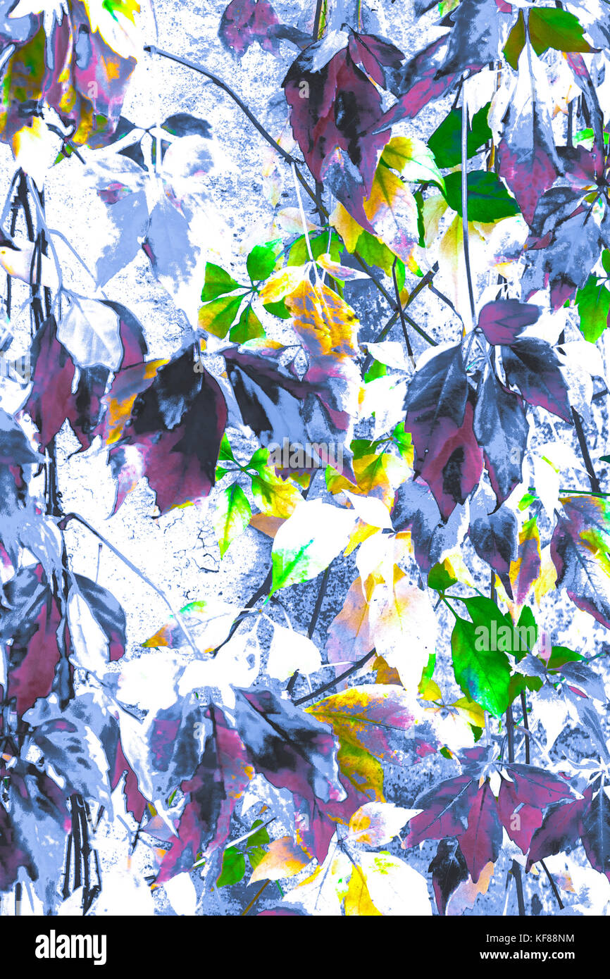 surreal gaudy atmospheric background Stock Photo - Alamy