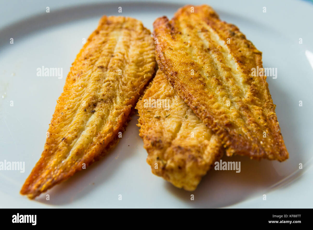 closeup of fried dover sole fish on white plate Stock Photo - Alamy