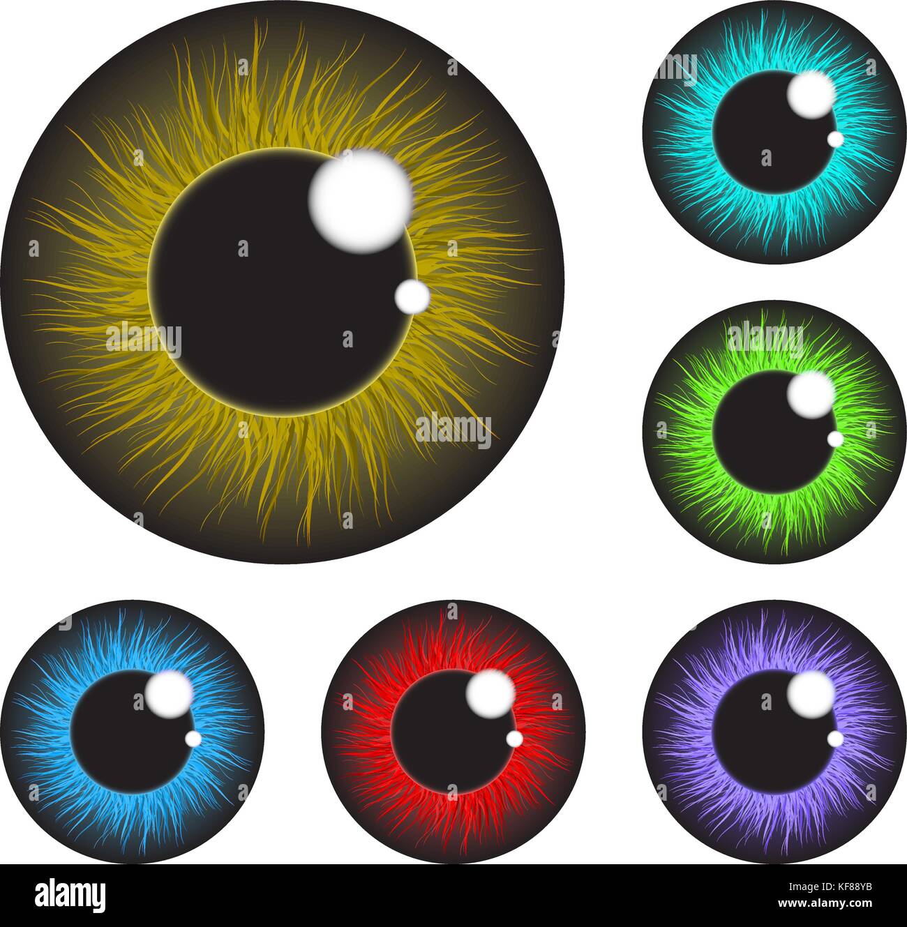 iris eye realistic vector set design isolated on white background Stock ...