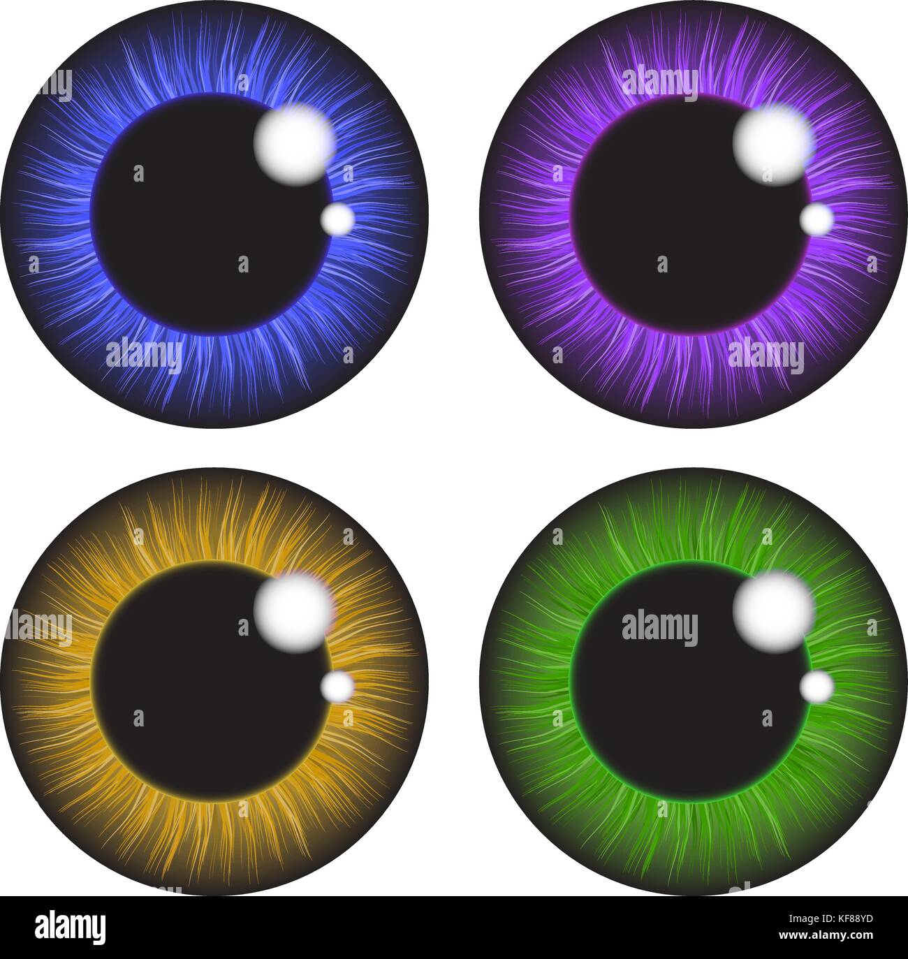 iris eye realistic vector set design isolated on white background Stock ...