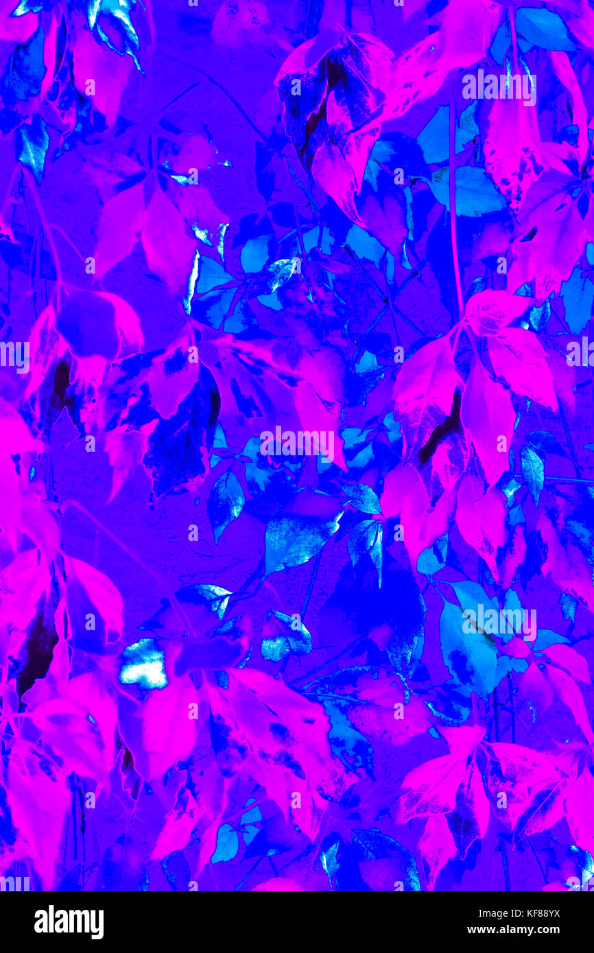 surreal gaudy atmospheric background Stock Photo - Alamy