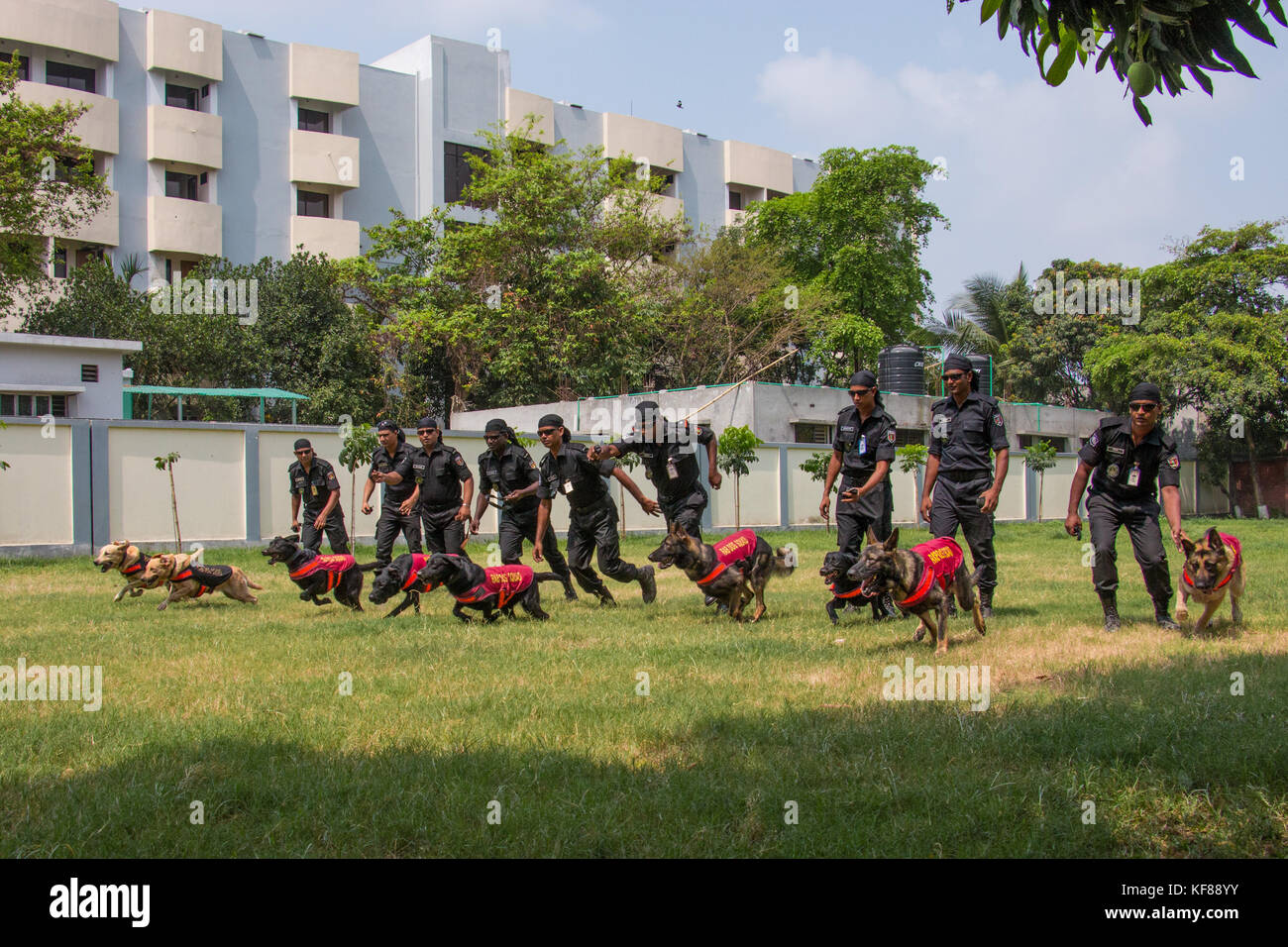 Rab dog squad hi-res stock photography and images - Alamy