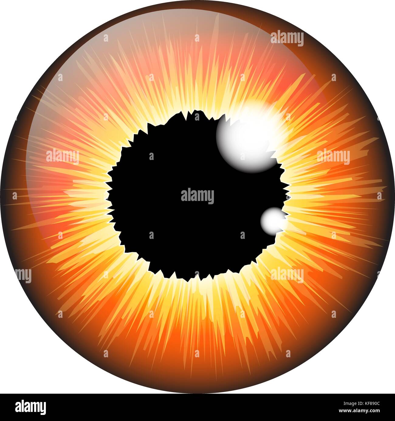 Orange, hazel iris eye realistic vector set design isolated on white ...