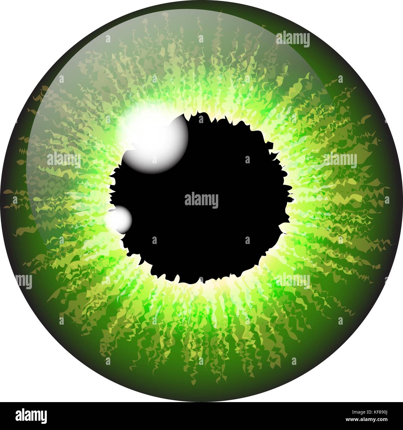 green iris eye realistic vector set design isolated on white background ...