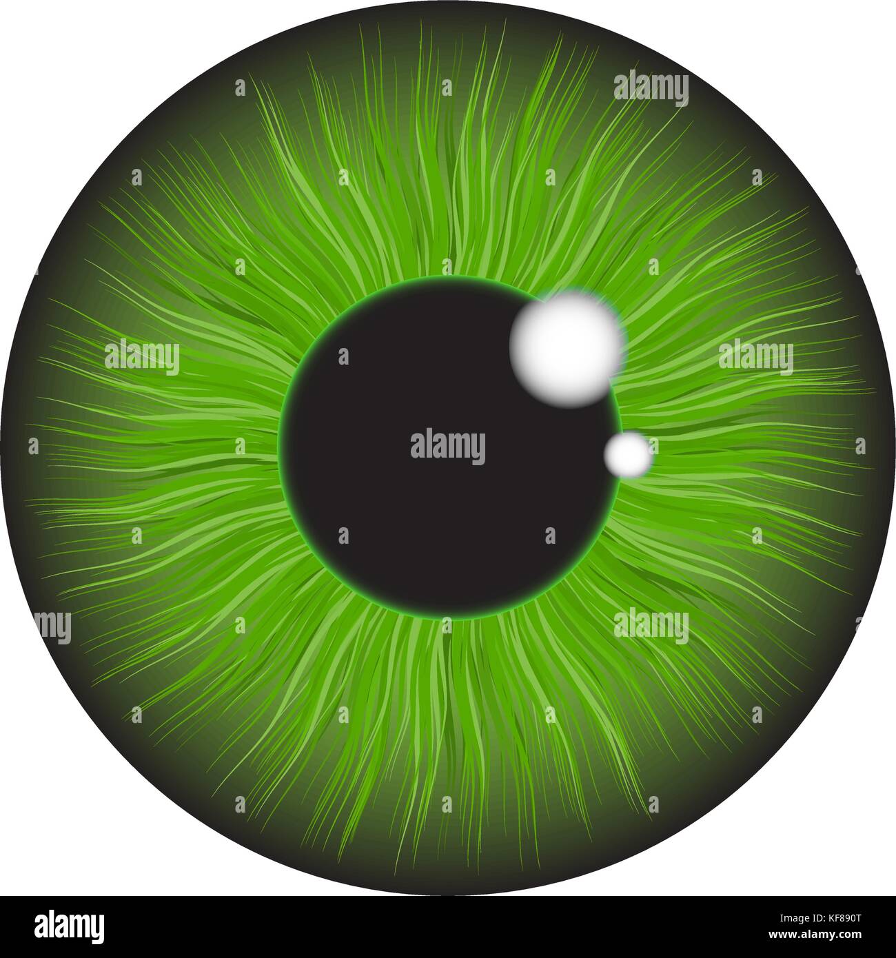 green iris eye realistic vector set design isolated on white background ...