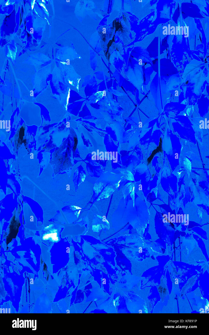 surreal gaudy atmospheric background Stock Photo - Alamy