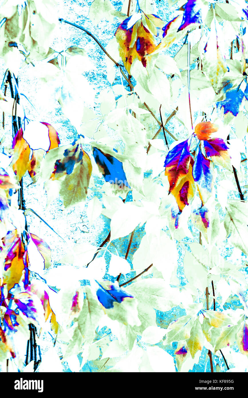 surreal gaudy atmospheric background Stock Photo - Alamy