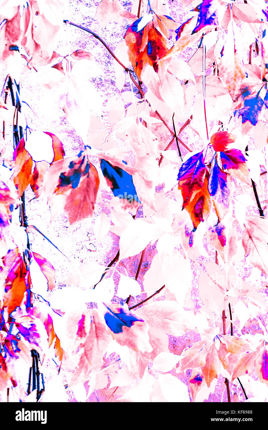 surreal gaudy atmospheric background Stock Photo - Alamy