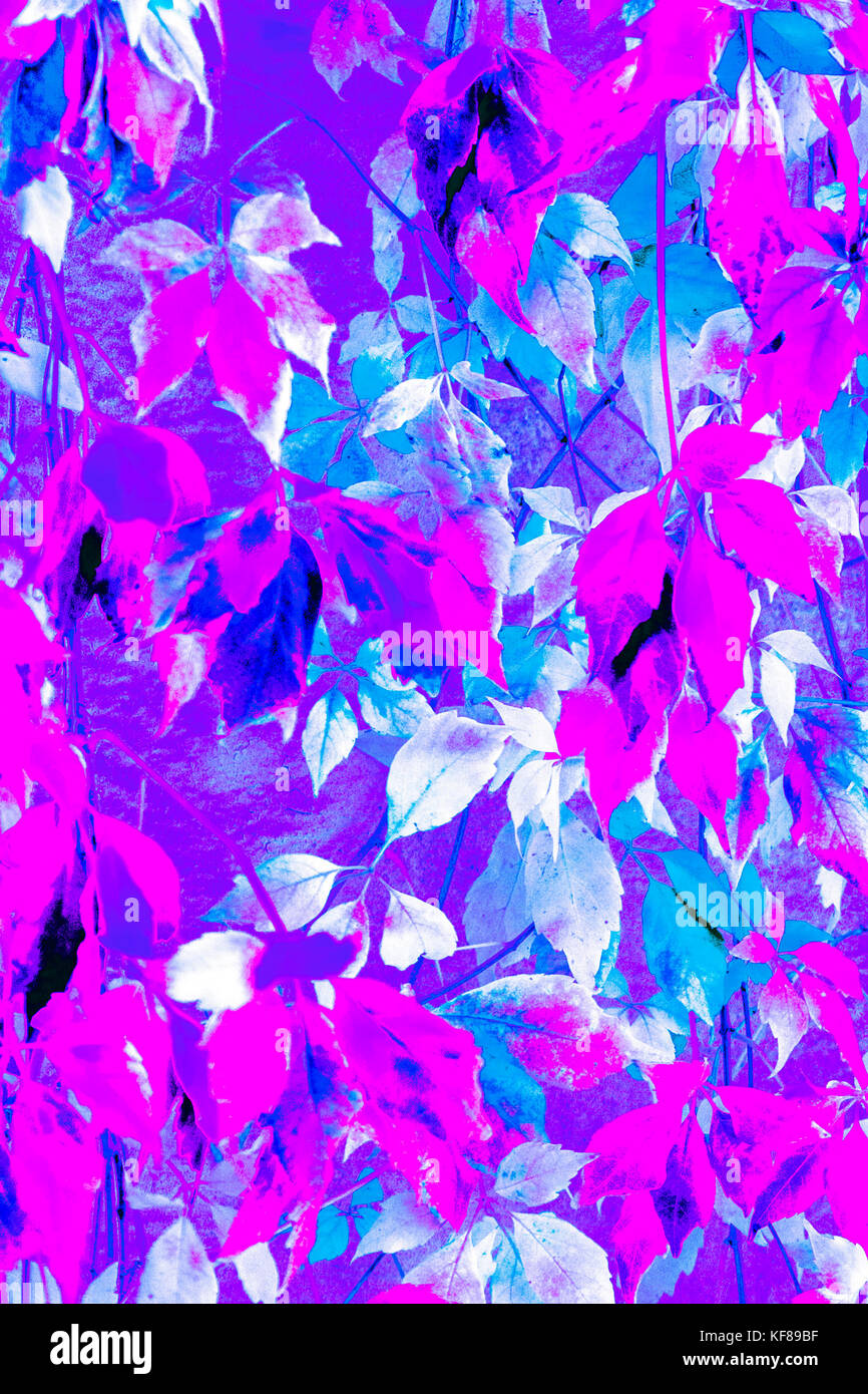 surreal gaudy atmospheric background Stock Photo - Alamy