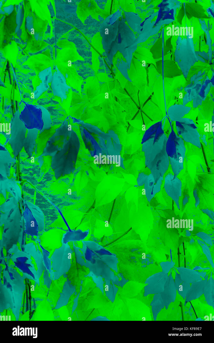 surreal gaudy atmospheric background Stock Photo - Alamy