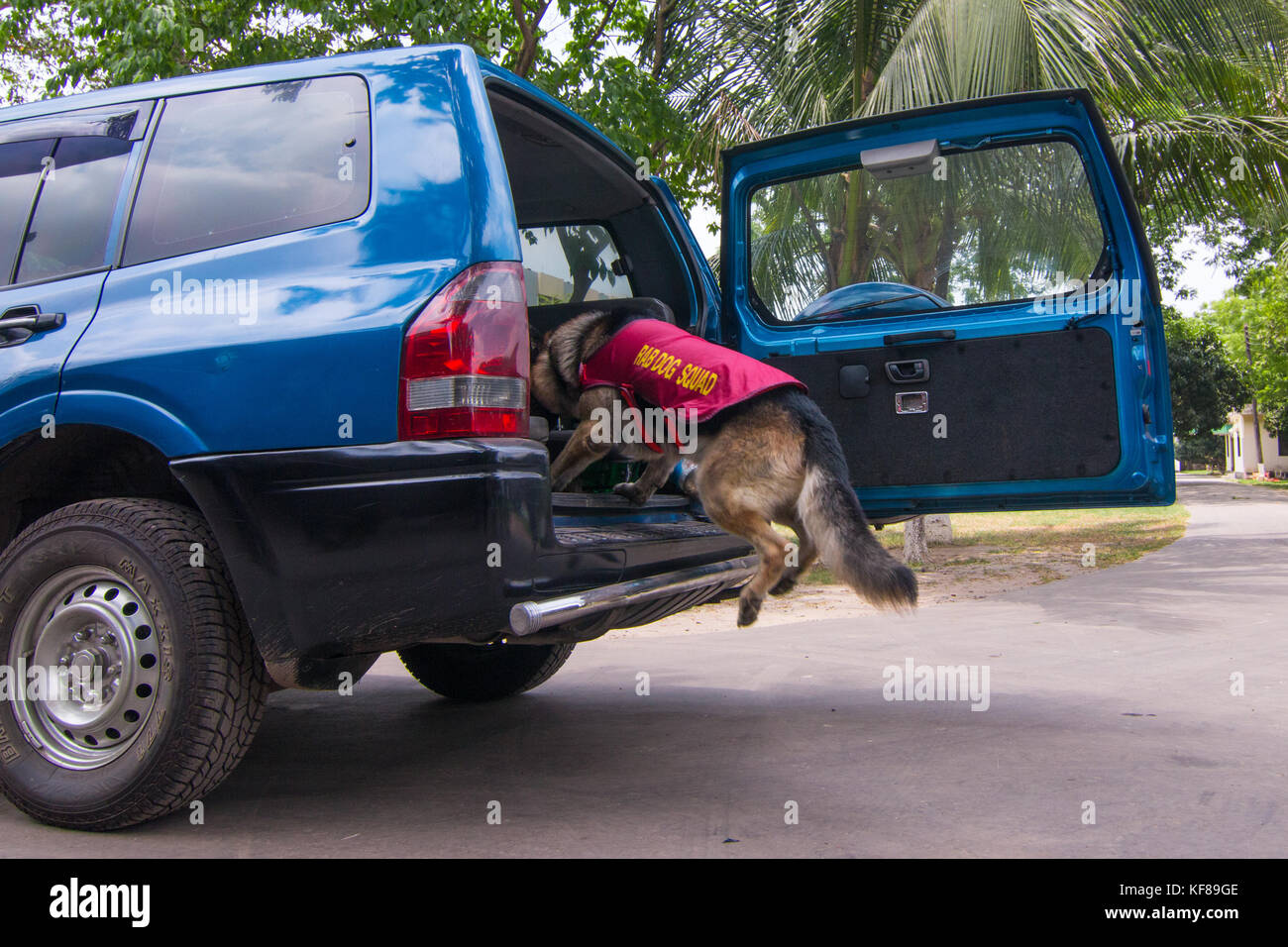 Rab dog squad hi-res stock photography and images - Alamy