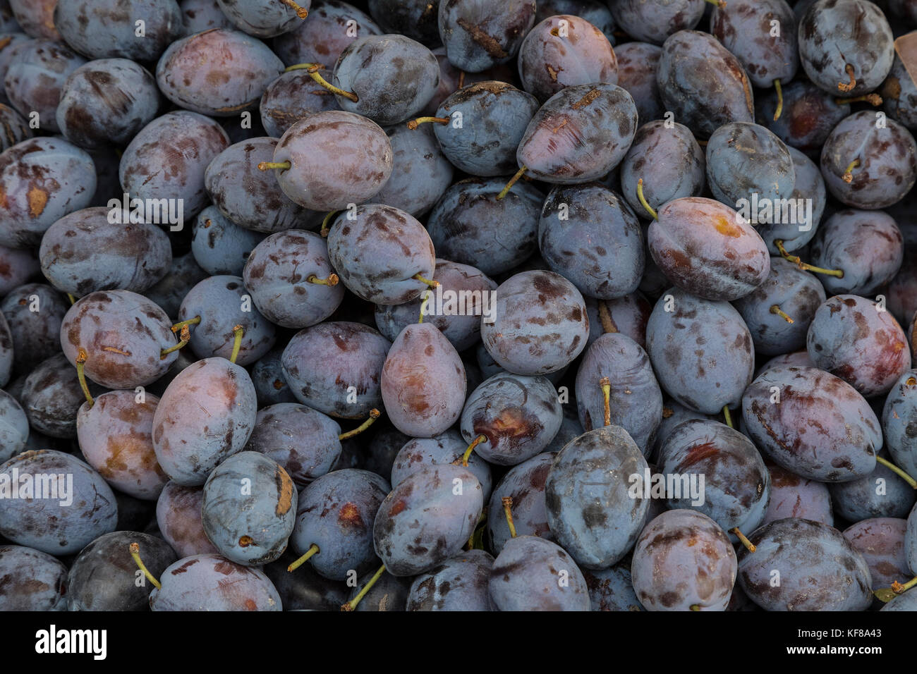 Plums on a market stall. Plums are an oval fleshy fruit which is purple ...