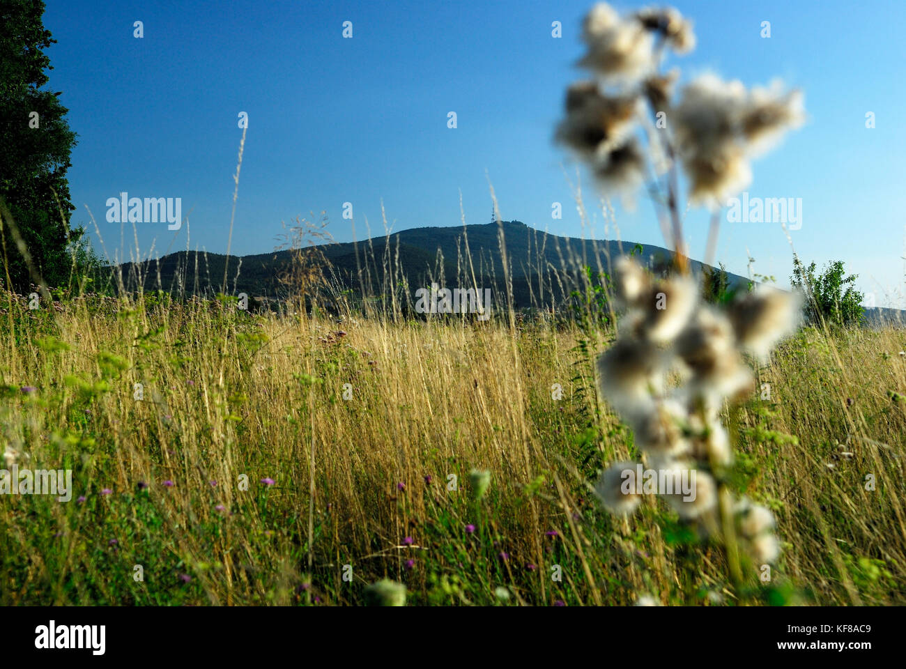 718 m above sea level, landscape, dolnoslaskie, landscape, mountain ...