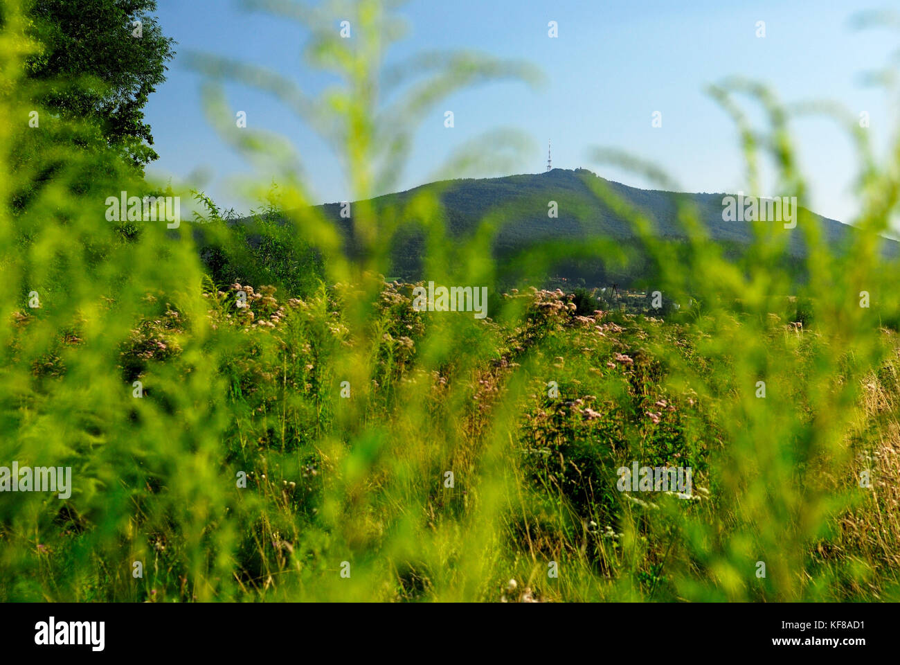 718 m above sea level, landscape, dolnoslaskie, landscape, mountain ...