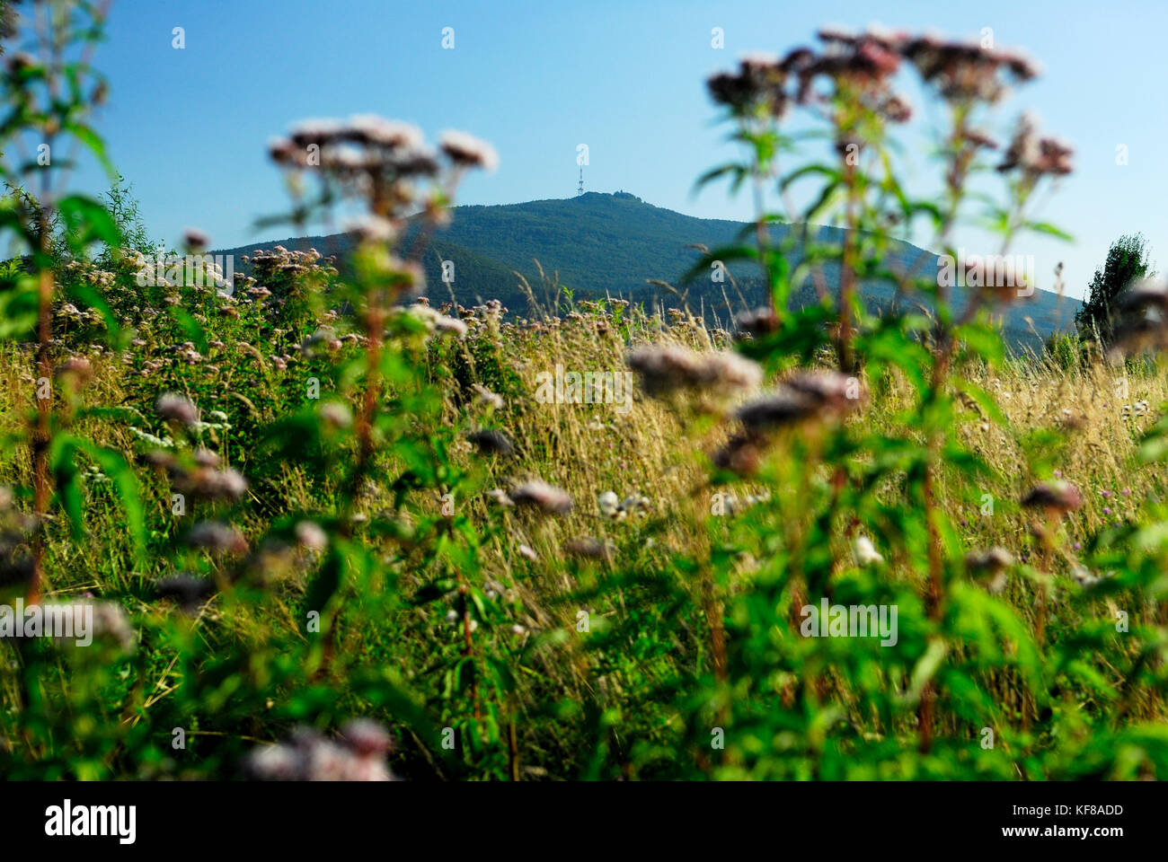 718 m above sea level, landscape, dolnoslaskie, landscape, mountain ...